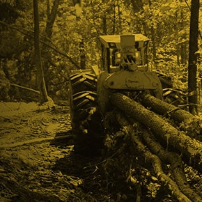 Forest Tires | MAXAM Tire